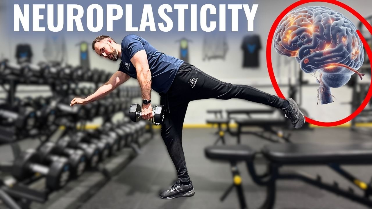 Neuroplasticity in Injury Recovery